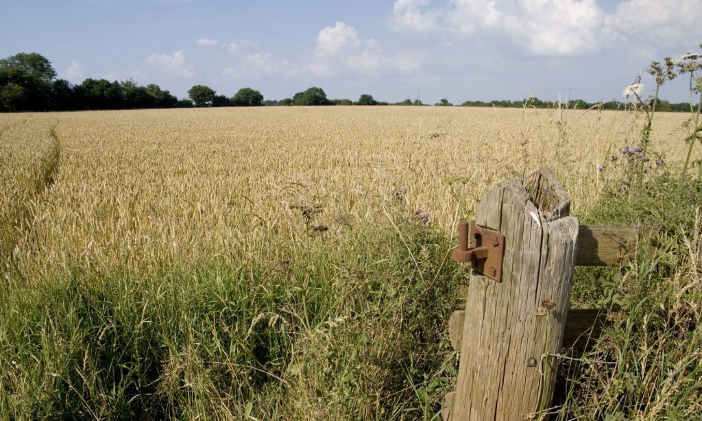 Kingscote Online – The Village Website for Kingscote & Newington ...